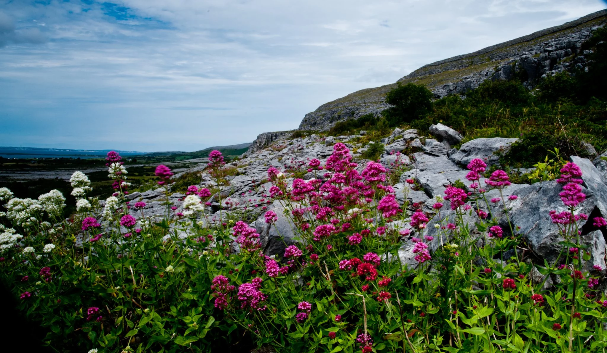 The Burren in Clare, Tourist Attractions Ireland | Cliffs of Moher