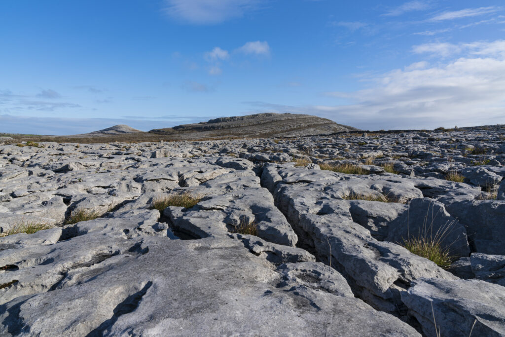 Burren Ambassadors Training Module is Launched | Cliffs of Moher ...