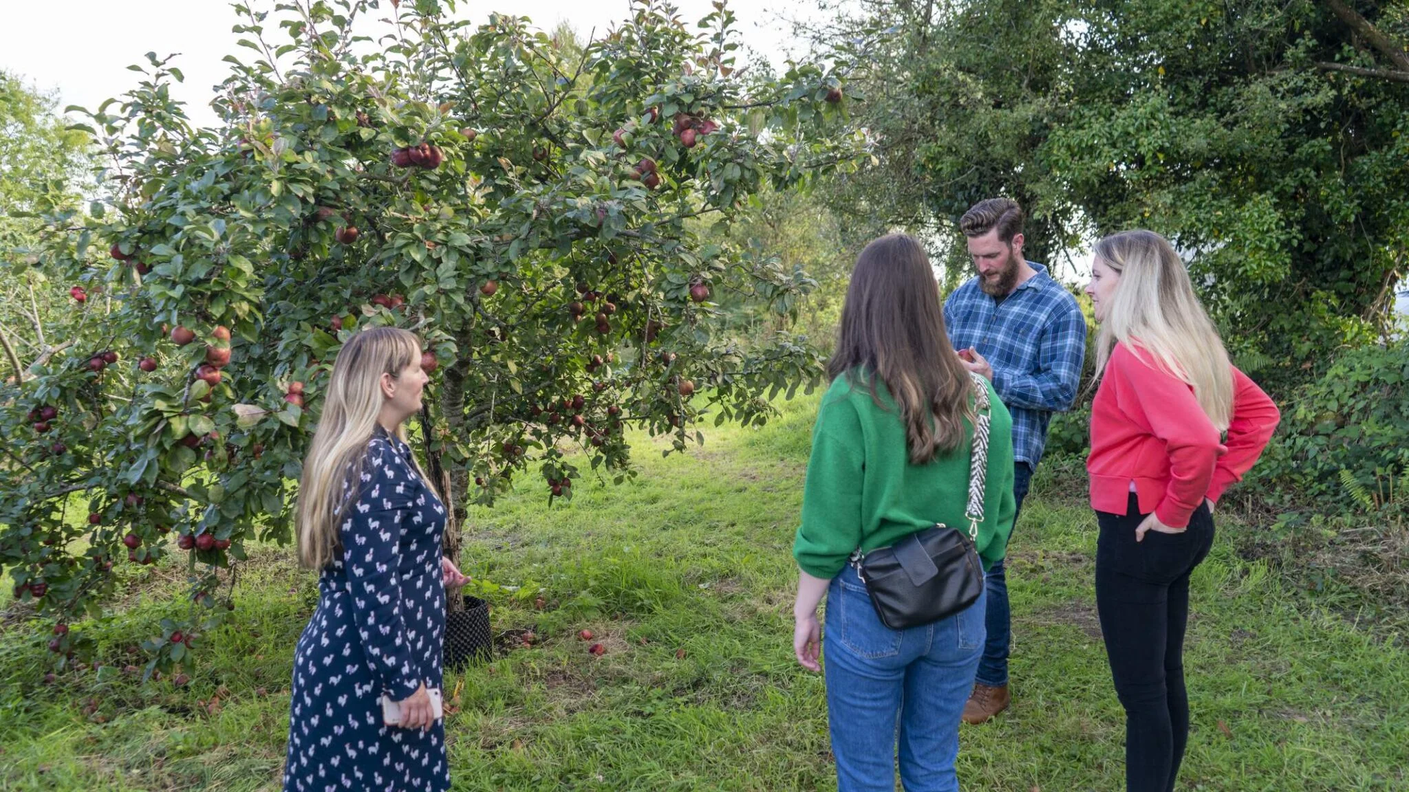 Visit East Clare | Cliffs of Moher Tourist Attraction in Ireland